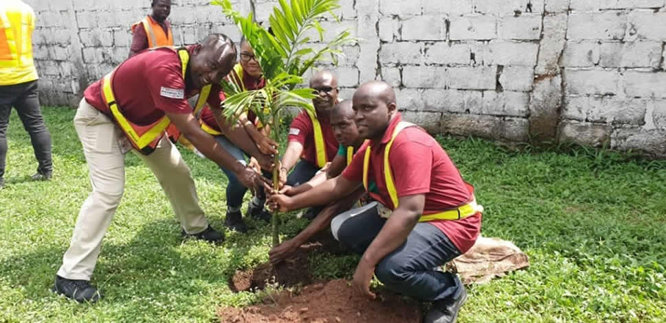 International Breweries PLC